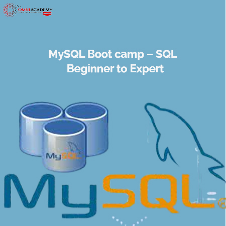 MySQL Bootcamp - SQL Beginner to Expert in Karachi, Lahore, Islamabad ...